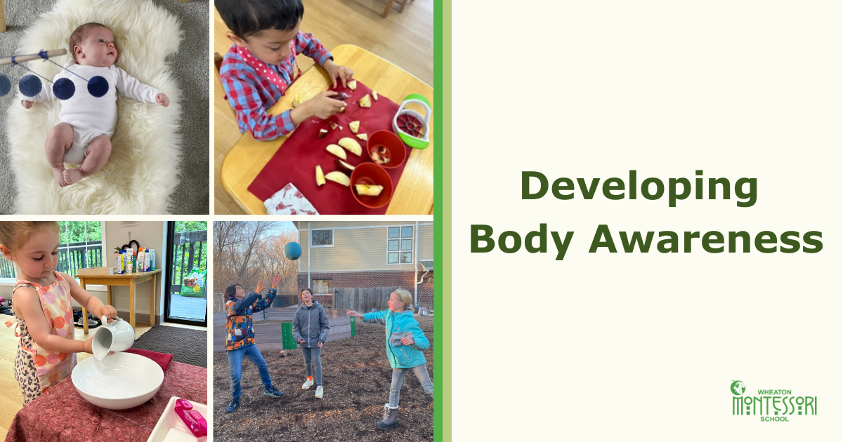 Blog | Wheaton Montessori School | Wheaton, Illinois