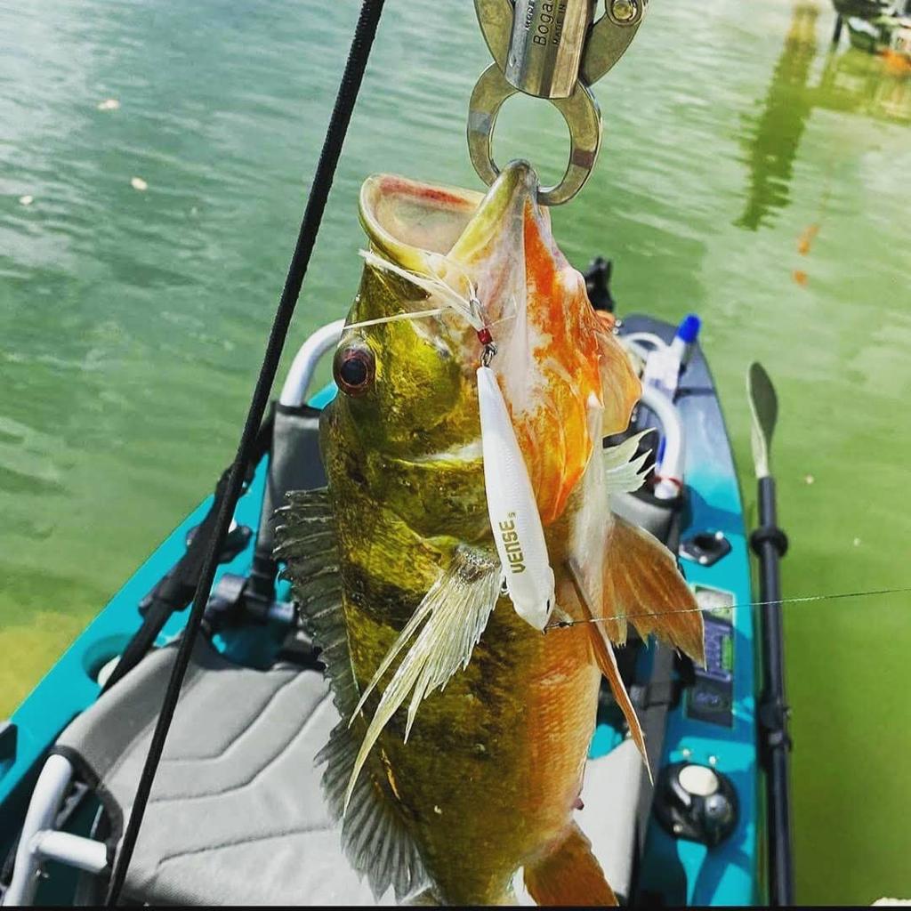 Pesca en kayak: ¿Qué hacer para que sea efectiva?