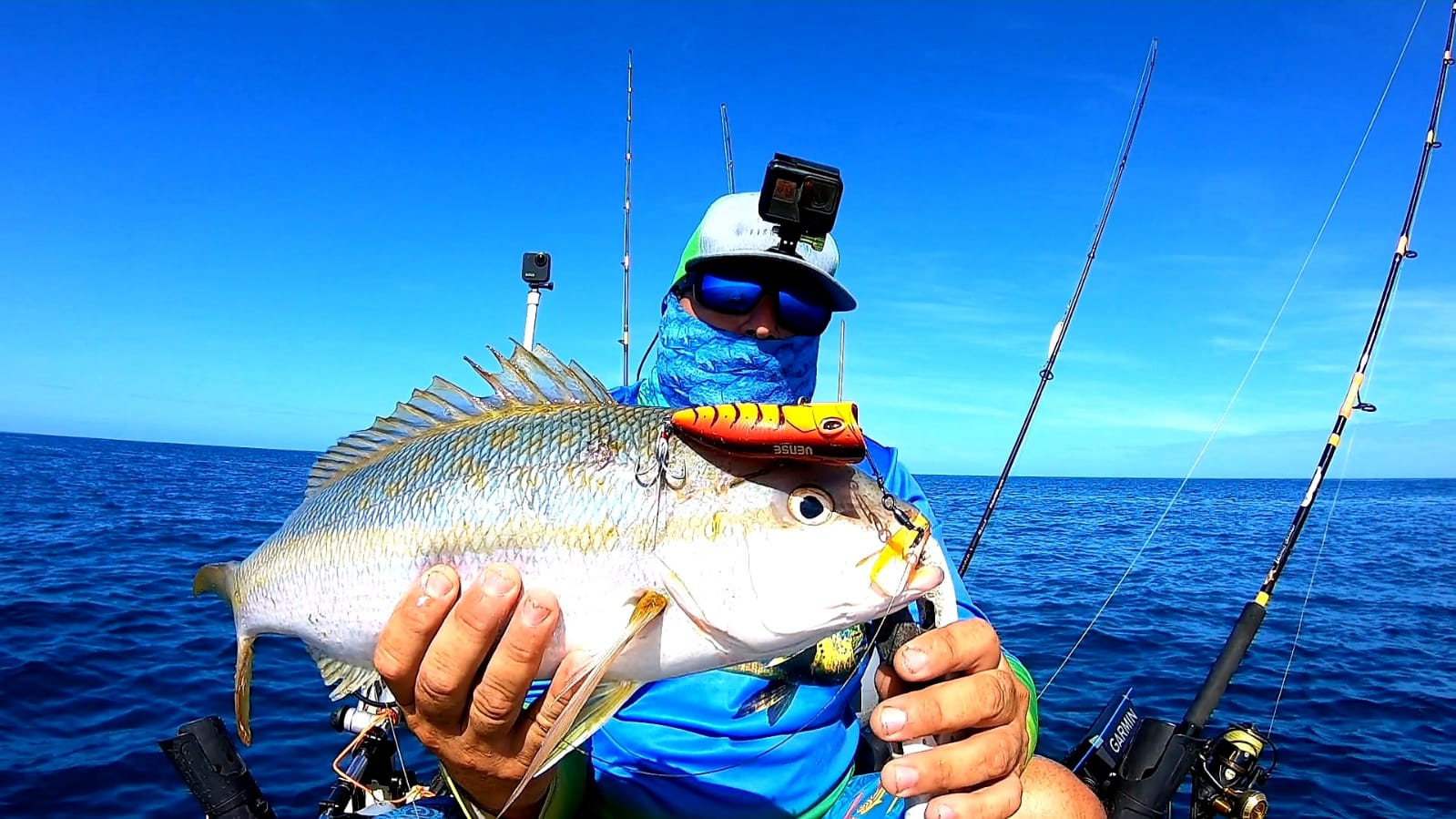 Aventuras de pesca en Altamar