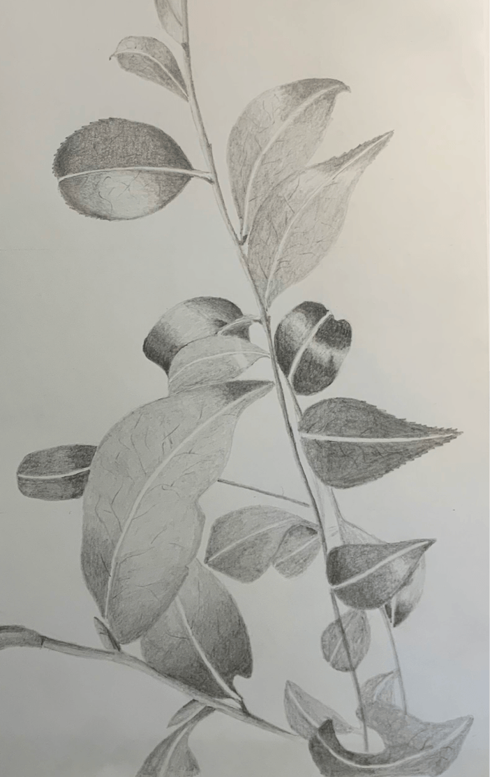 Level 2 Art & Design | BTEC Equivalent | Study Online | OCAD