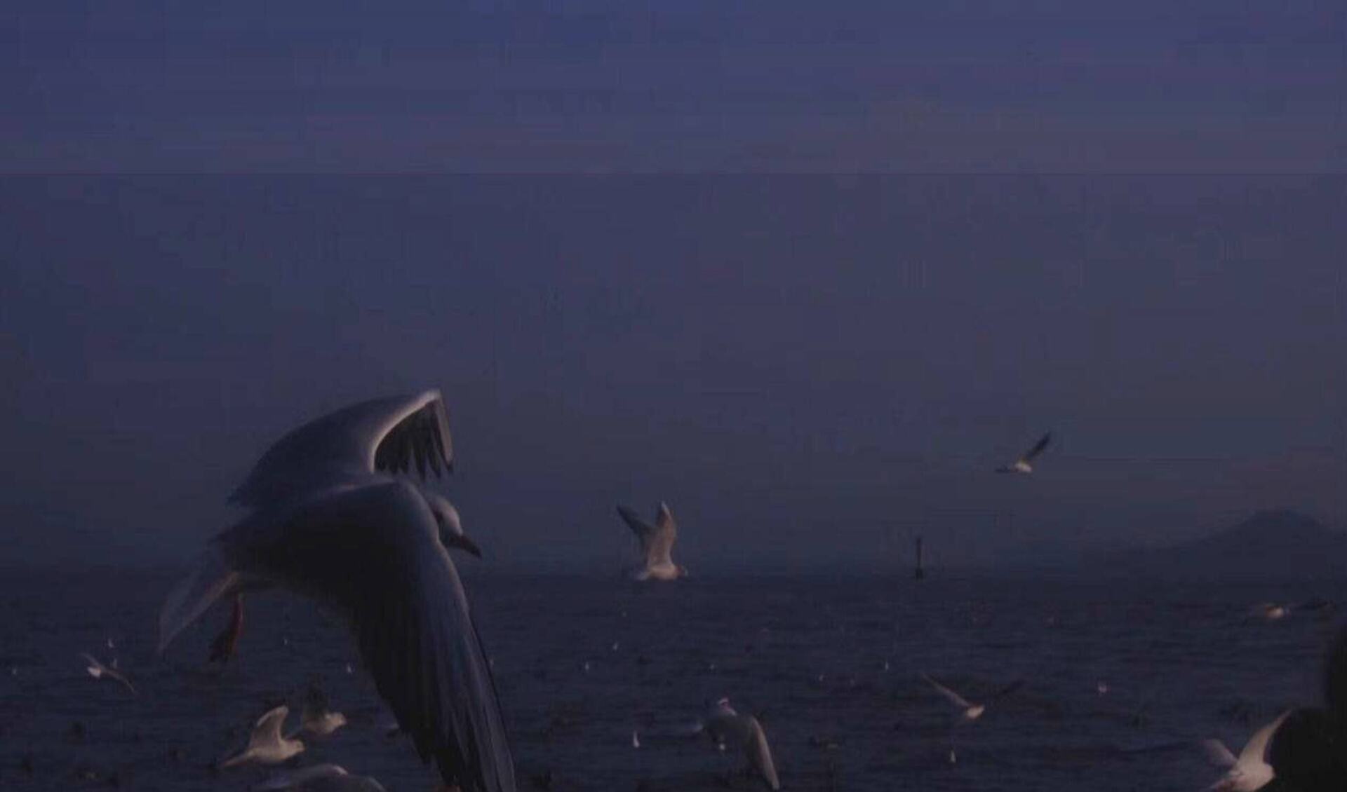 Online Photography Foundation Course | OCAD