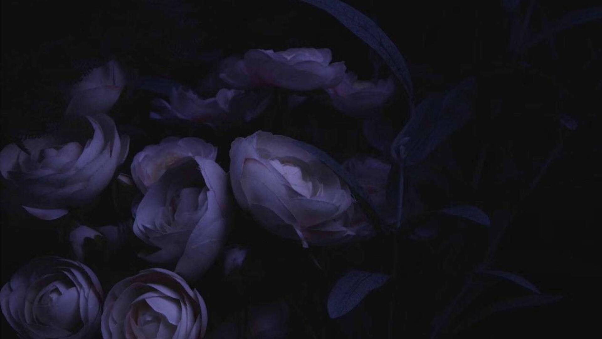 Online Photography Foundation Course | OCAD