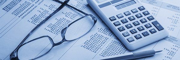 Financial Checks, Balances and Reporting