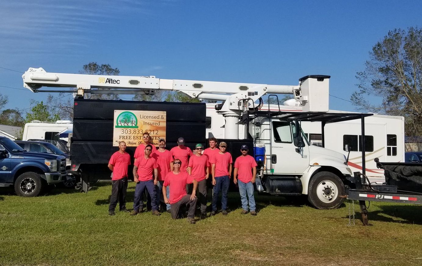 A&R Tree and Landscaping LLC | Tree Service | Frederick, CO