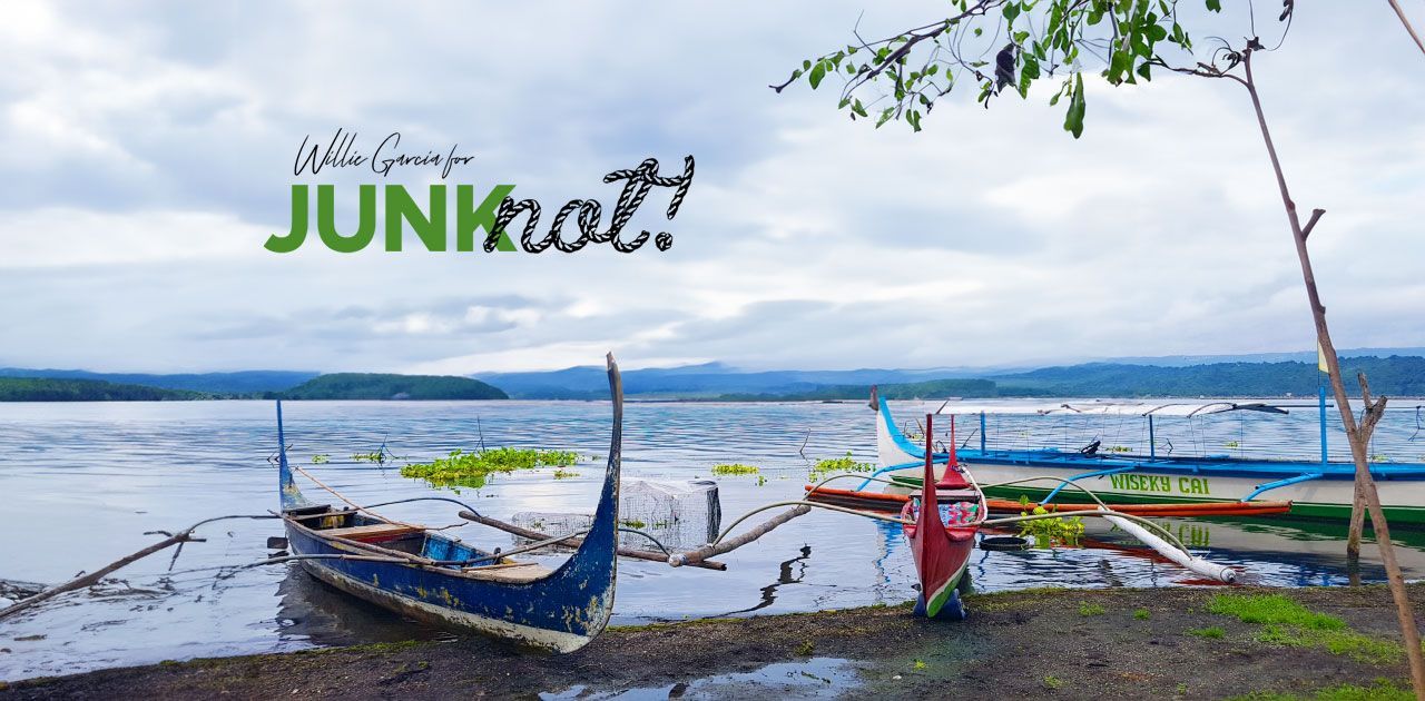 Junk Not | Our Impact