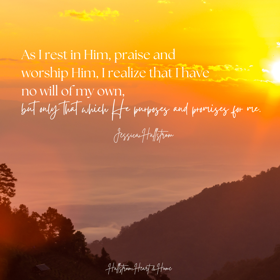 The Secret of "Silent Saturday"