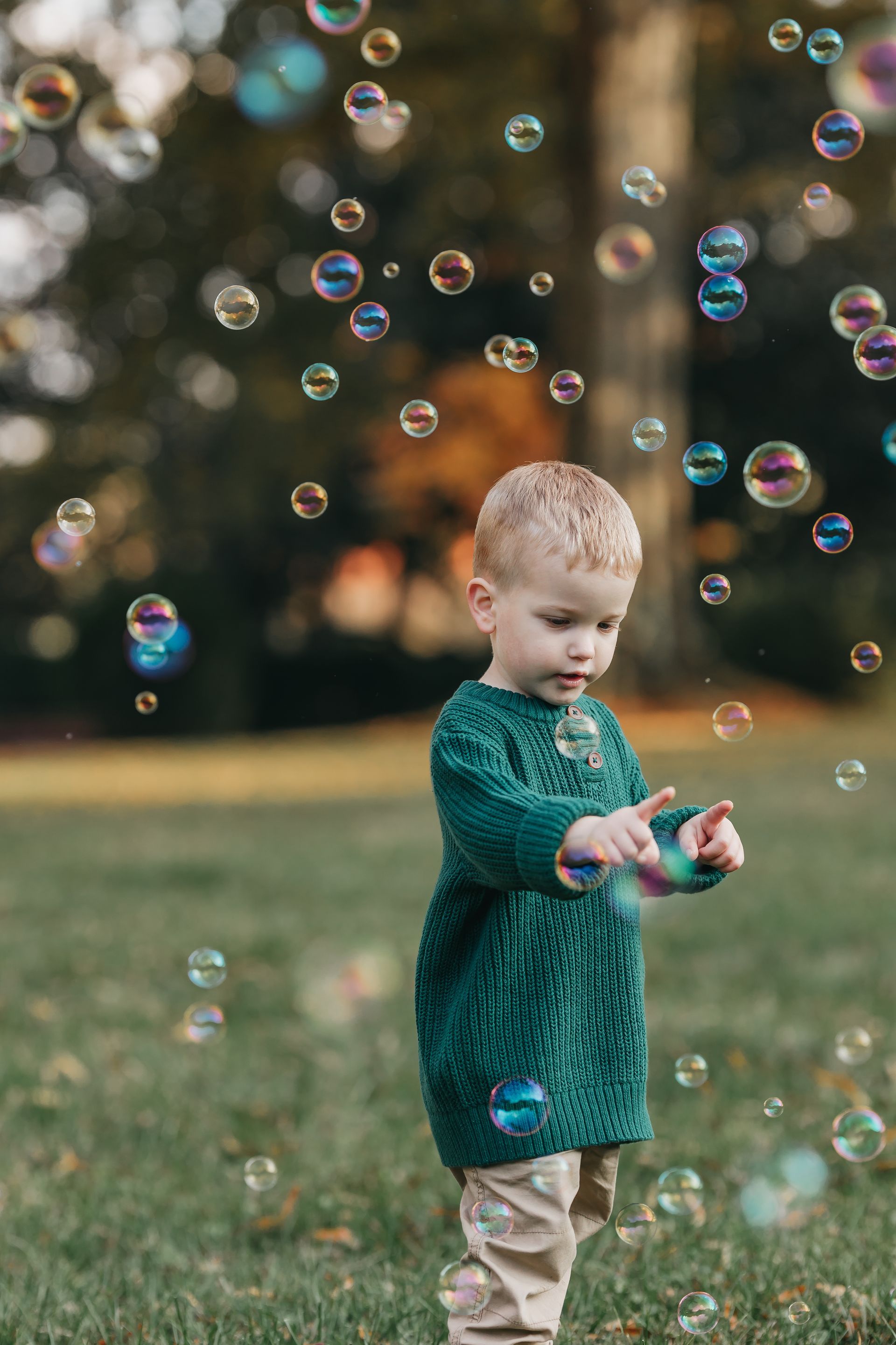 Family Pictures - 2022