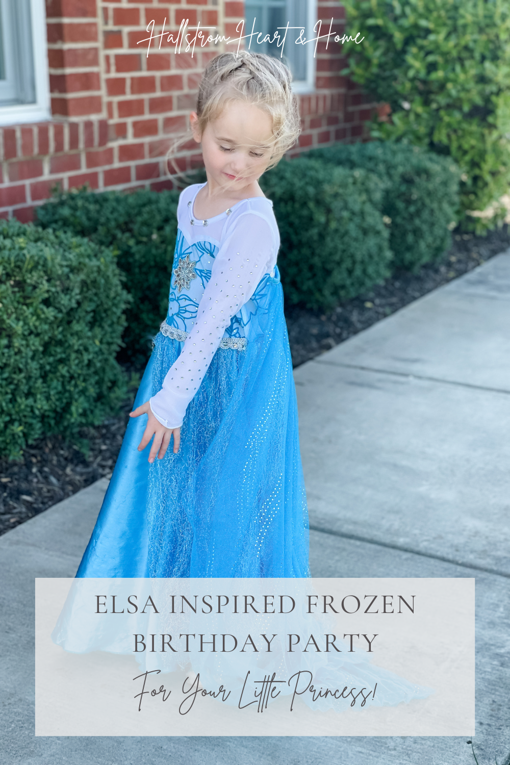 Elsa-Themed 5th Birthday Party