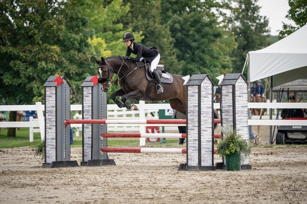 Horse Riding Stables | Vars, ON | Wynbrook Equestrian Centre