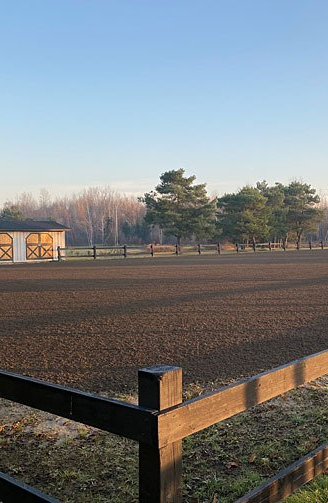 Horse Riding Stables | Vars, ON | Wynbrook Equestrian Centre
