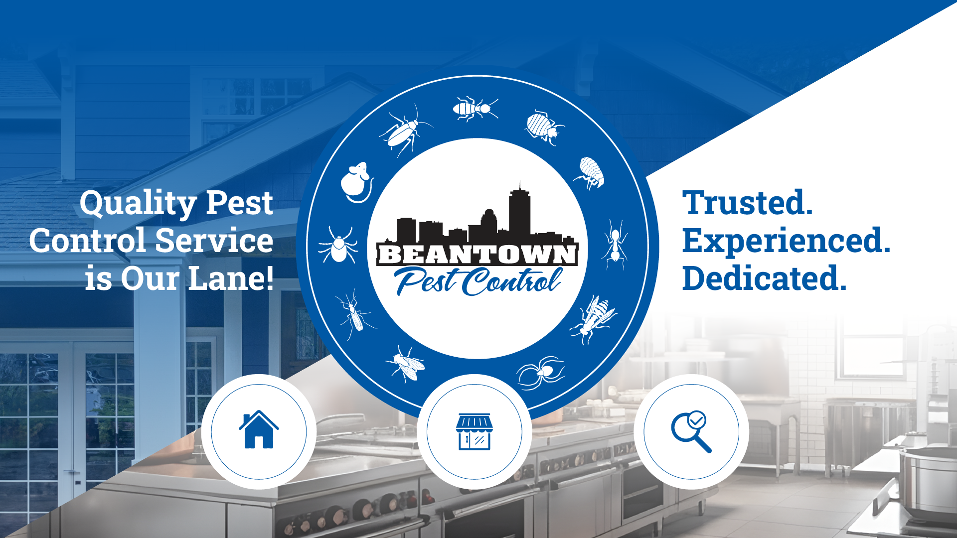 Best Pest Control in Boston, MA and all surrounding areas.