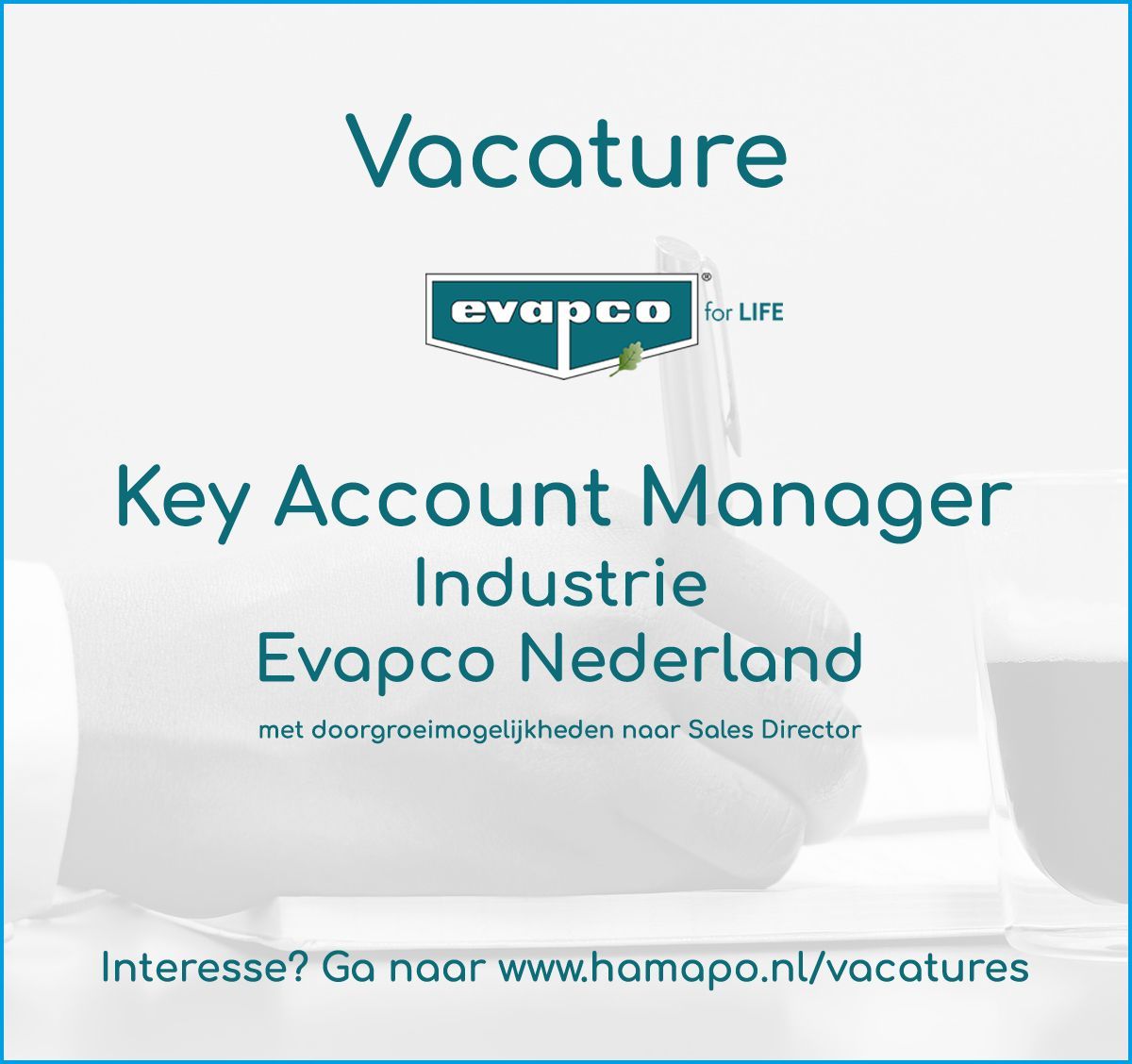 Vacatures Hamapo