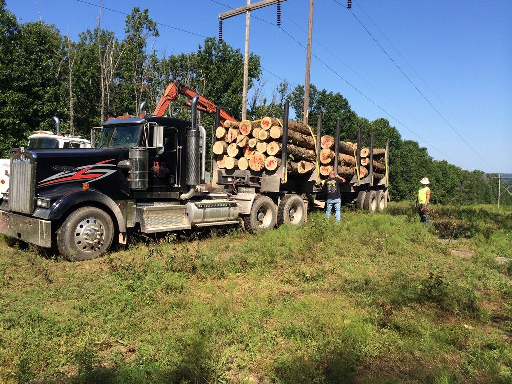 Logging Terms Every Landowner Should Know (Beginner-Friendly)