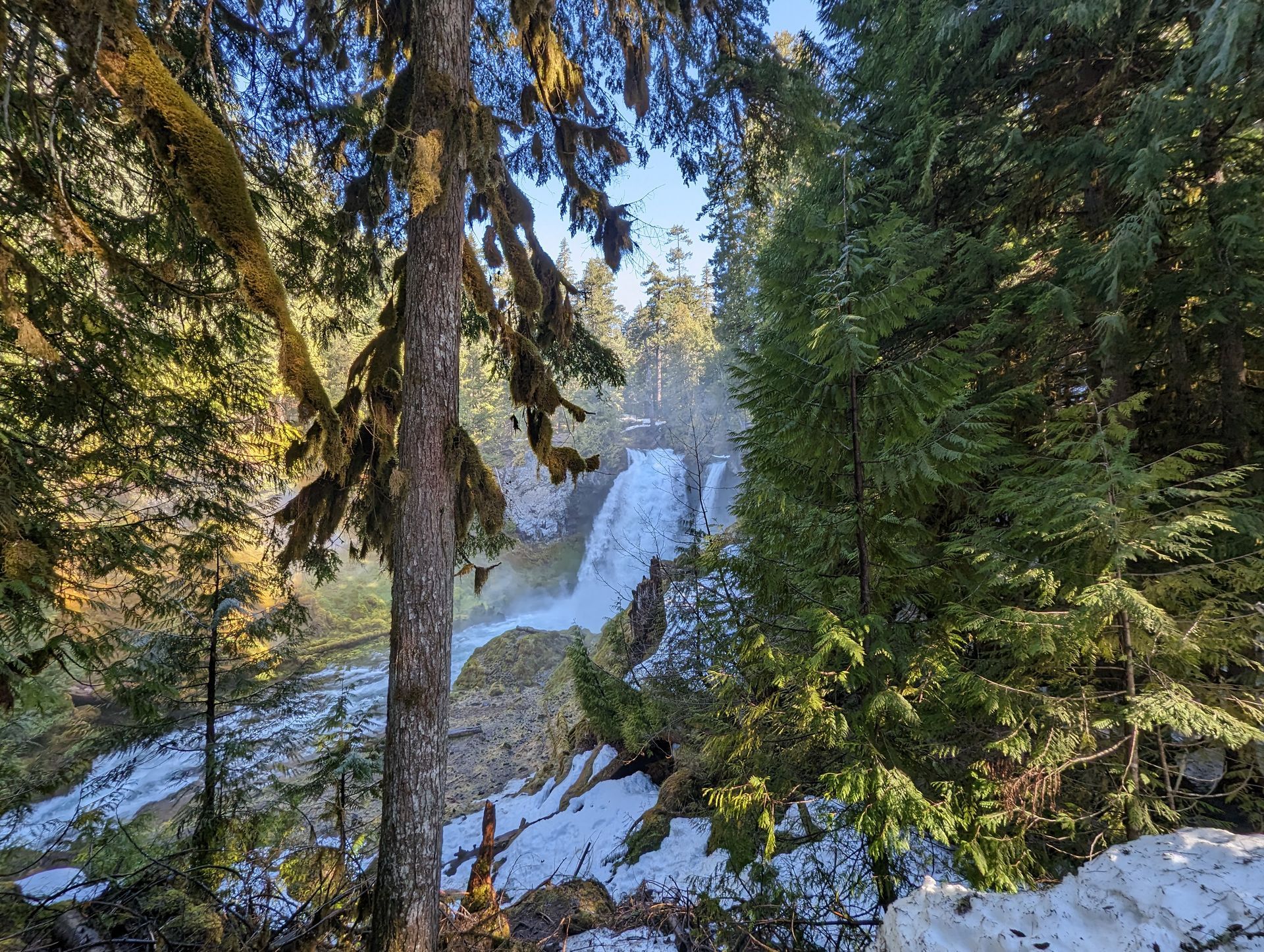 Successfully Overcame H-1B Extension NOID for Client That Was ...