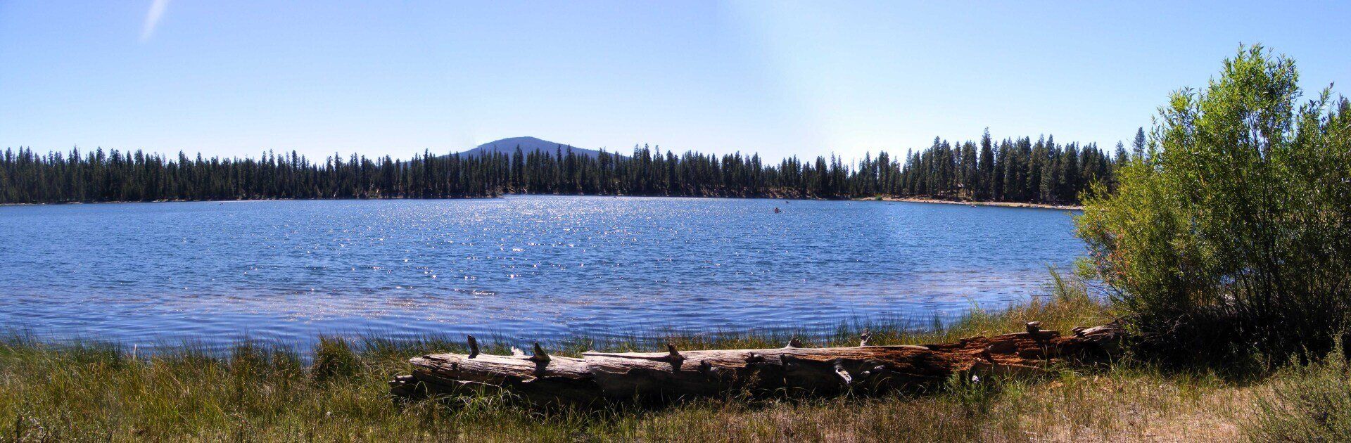 Twin Lakes Trail Oregon | Things to Do in Umpqua National Forest