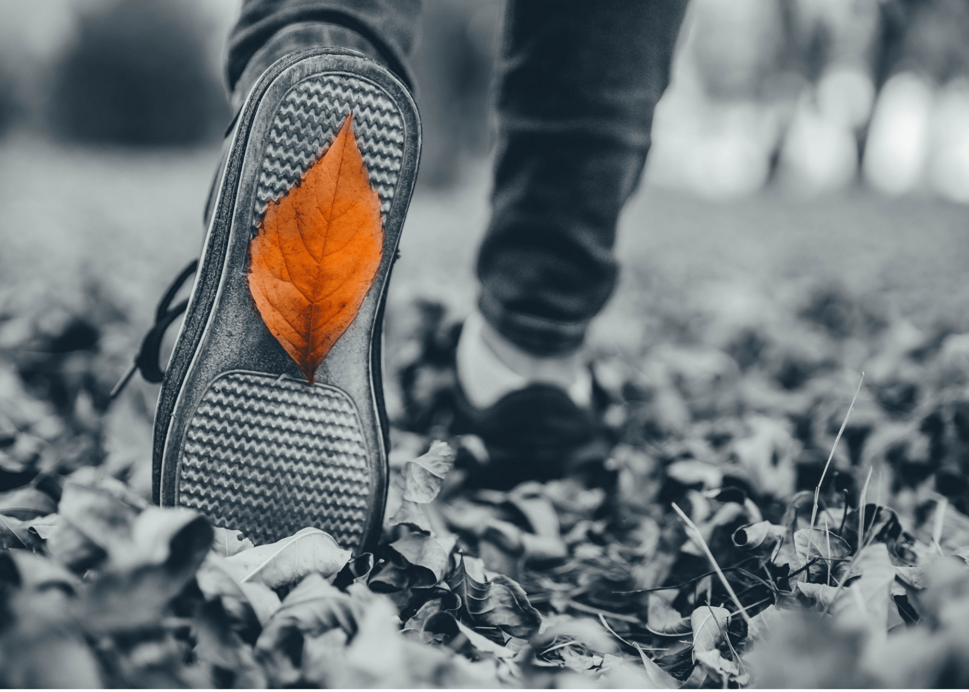 Chiropractic Considerations for the Fall Season