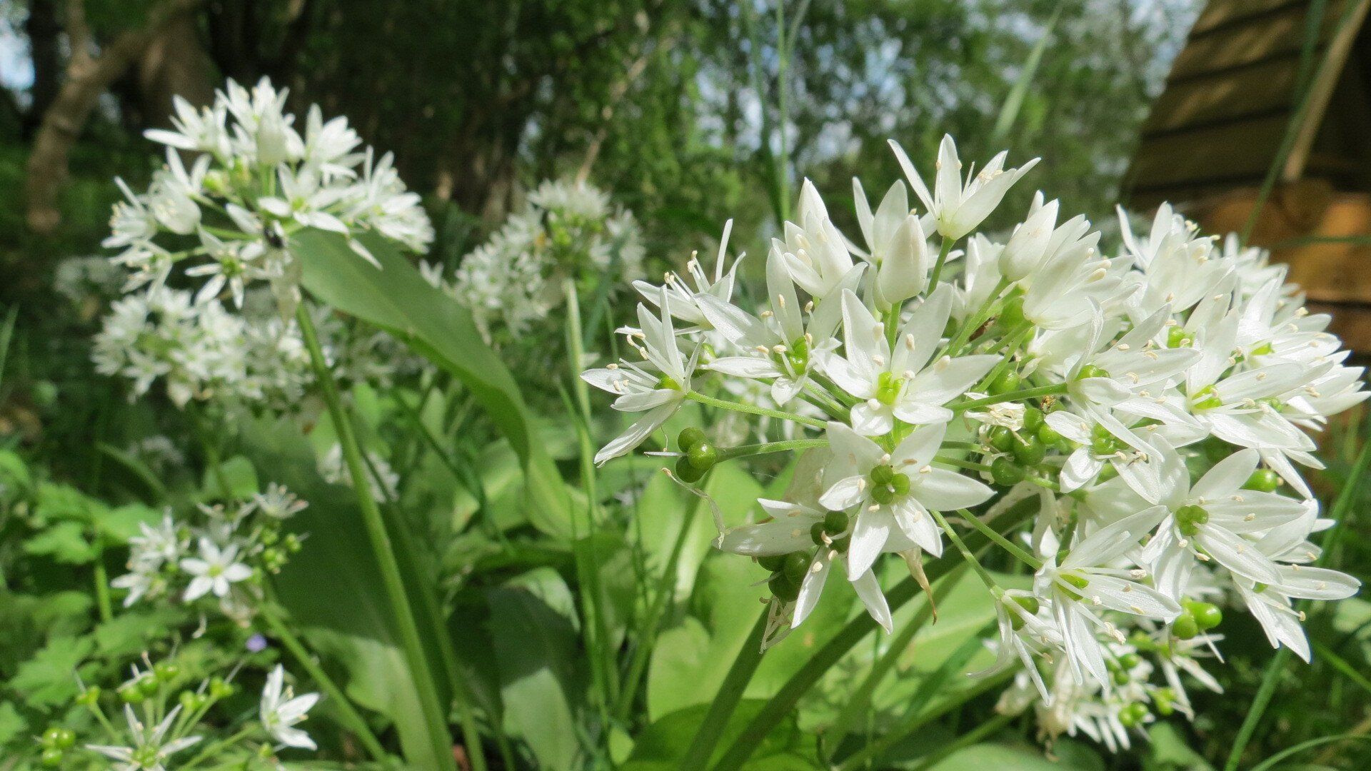 Treeopia is an idyllic adult only retreat offering two very individual ...