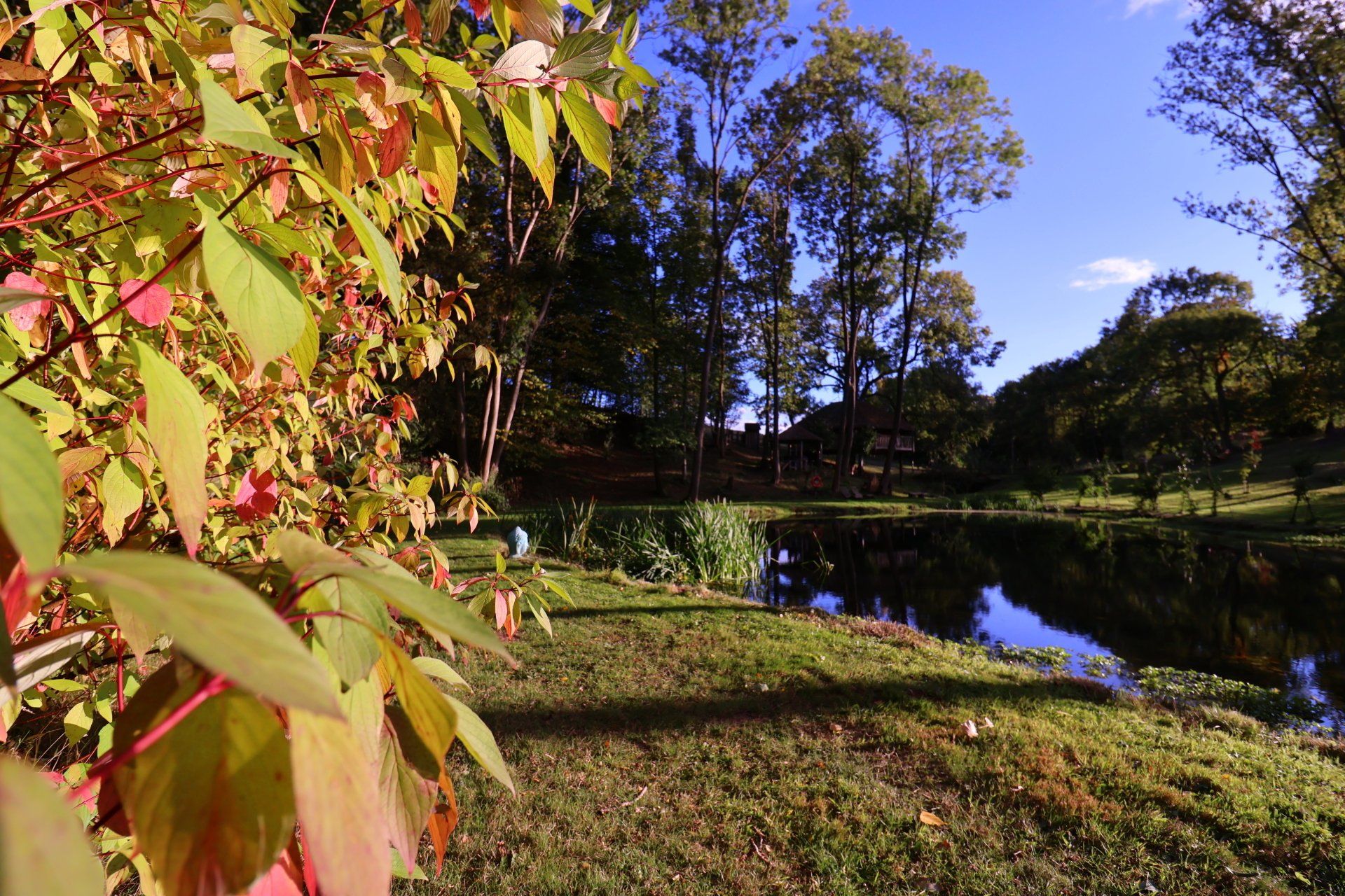 Award winning Luxury Treehouses | Treeopia