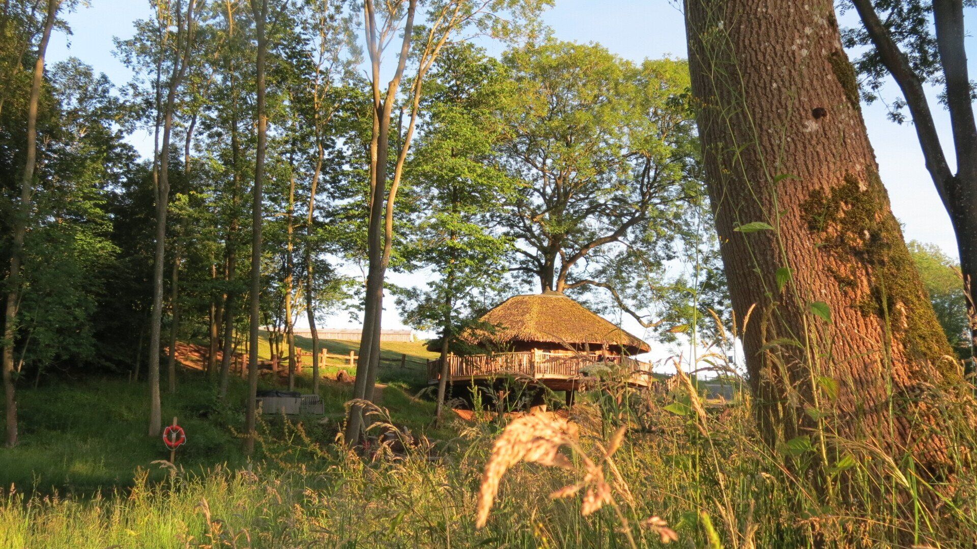 Treeopia is an idyllic adult only retreat offering two very individual ...