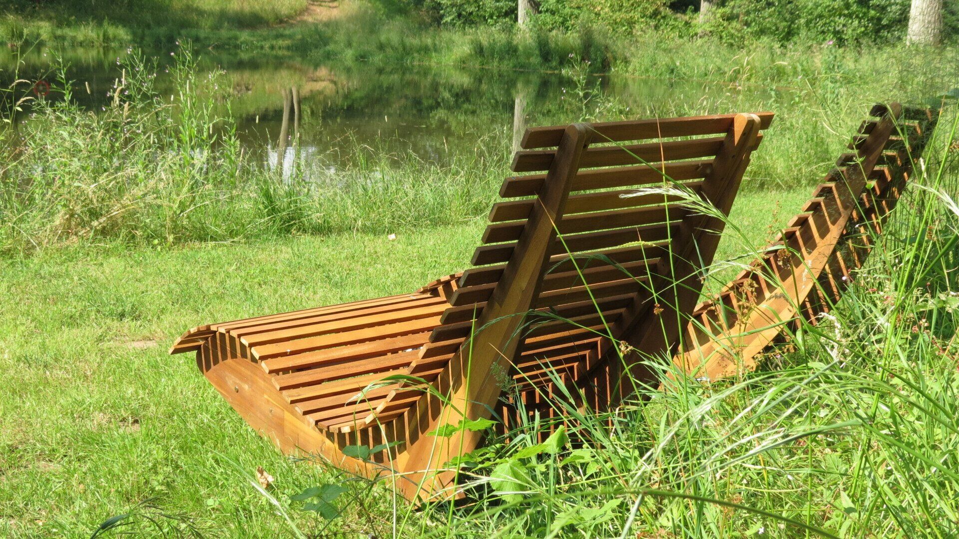 Award winning Luxury Treehouses | Treeopia