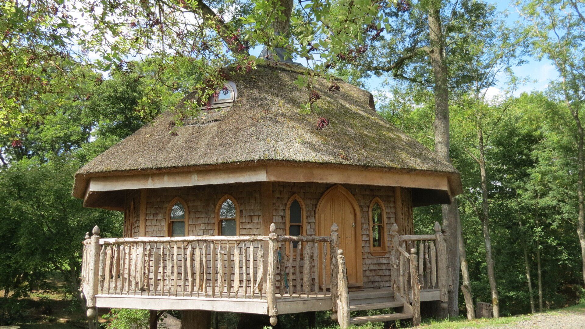 Luxury Treehouse Accommodation - Escape to Idyllic Tranquillity