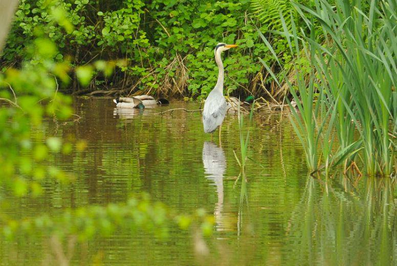 Award winning Luxury Treehouses | Treeopia