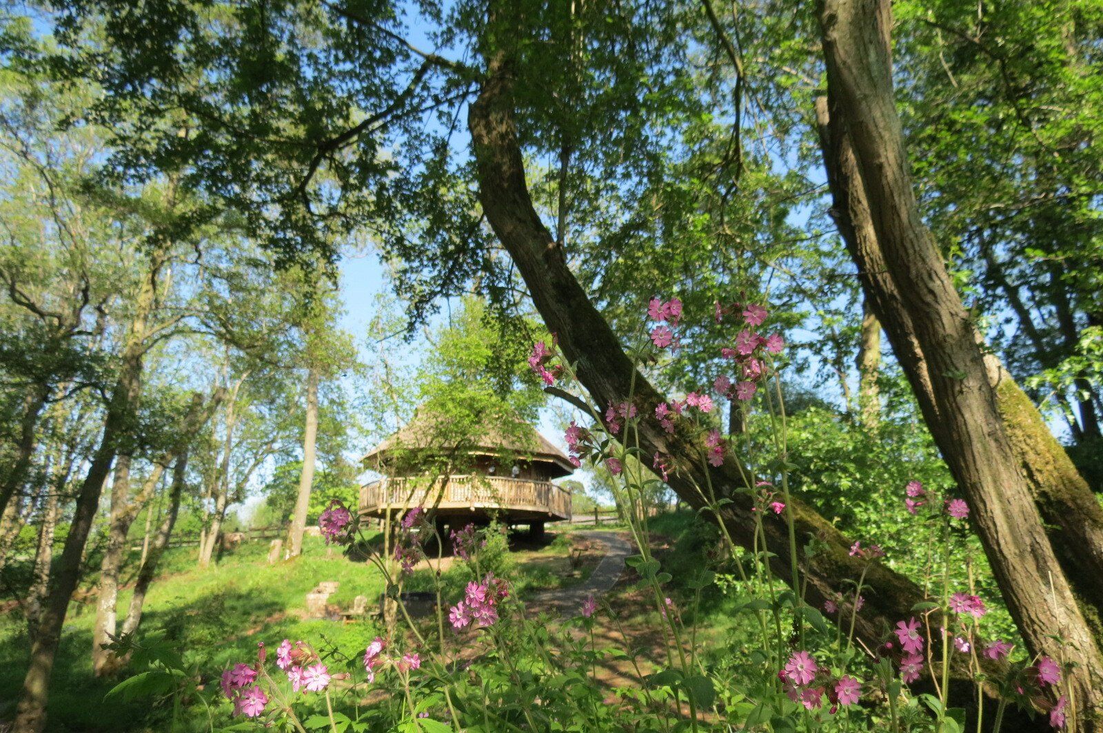 Treeopia is an idyllic adult only retreat offering two very individual ...