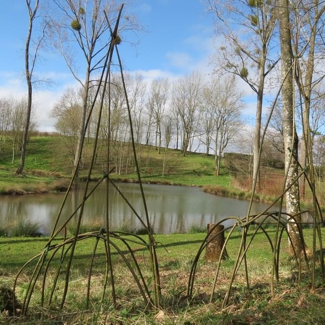 Treeopia is an idyllic adult only retreat offering two very individual ...