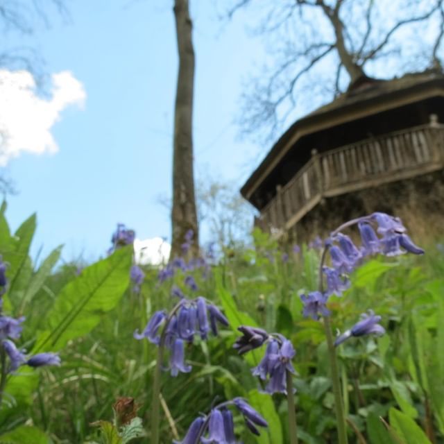 Treeopia is an idyllic adult only retreat offering two very individual ...