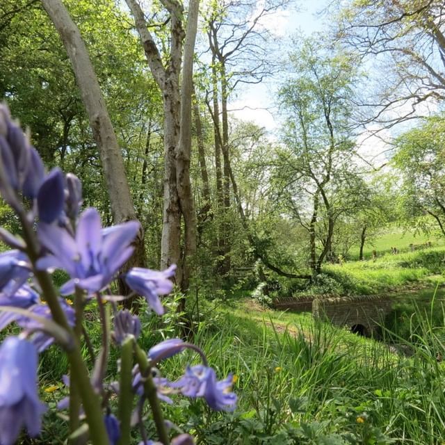 Treeopia is an idyllic adult only retreat offering two very individual ...