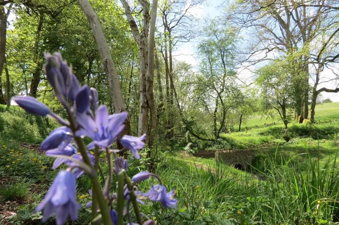 Treeopia is an idyllic adult only retreat offering two very individual ...