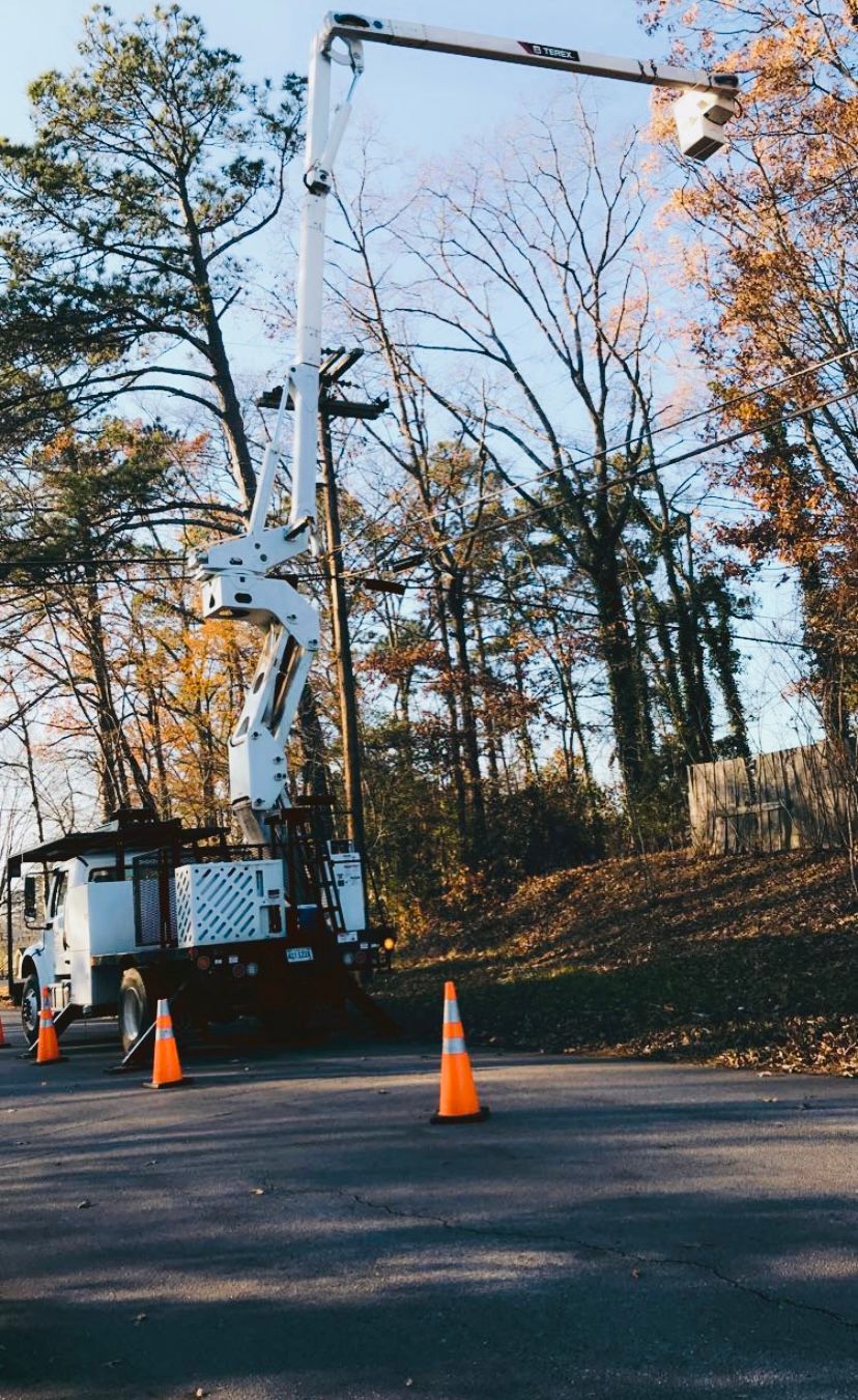 Vegetation Management | Killen, Alabama | Tree Pro Inc.