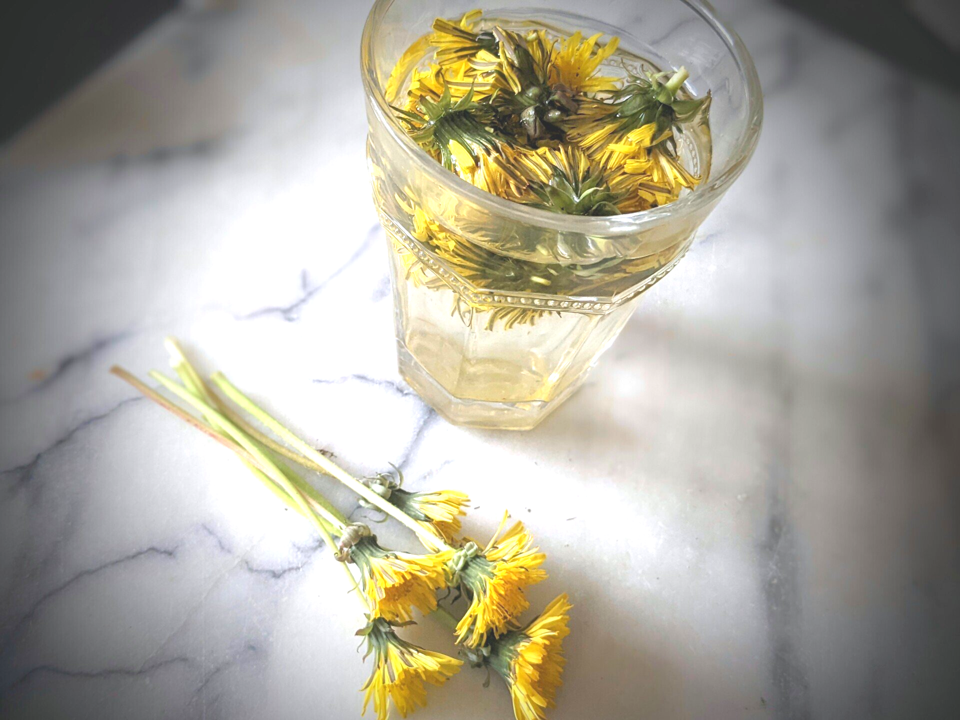 A recipe and benefits of fresh Dandelion flower water
