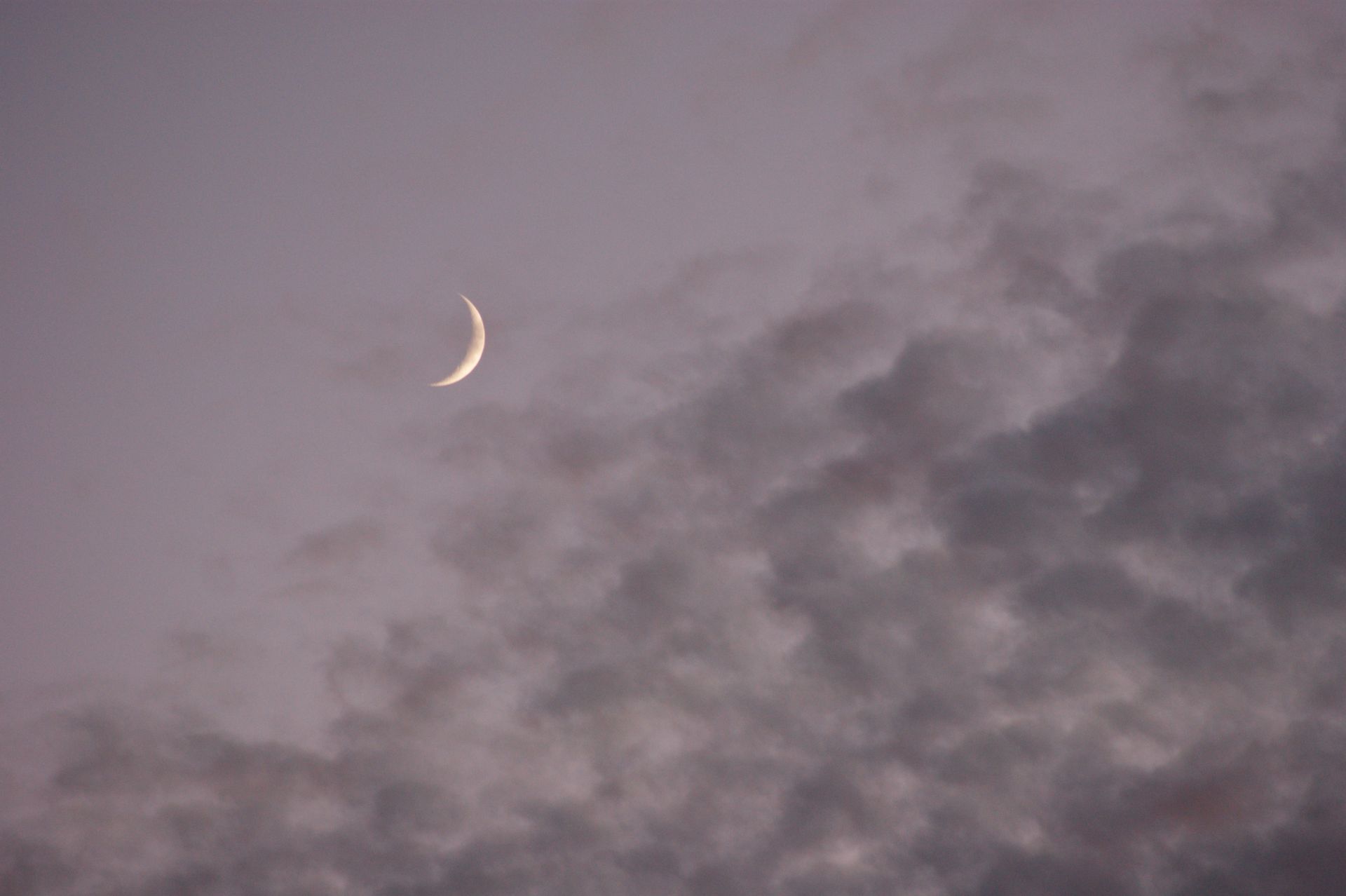 A Post About The Energy Of The New Cold Moon In Sagittarius A Post About The Energy Of The New Cold Moon In Sagittarius