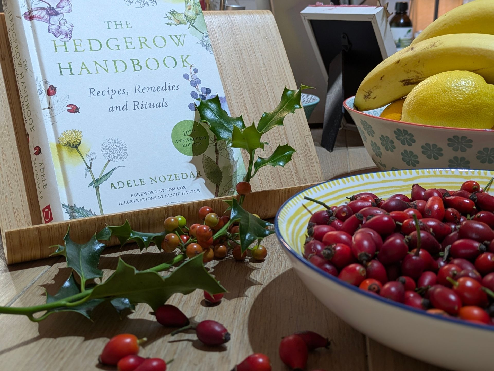 A book review for The Hedgerow Handbook by Adele Nozedar