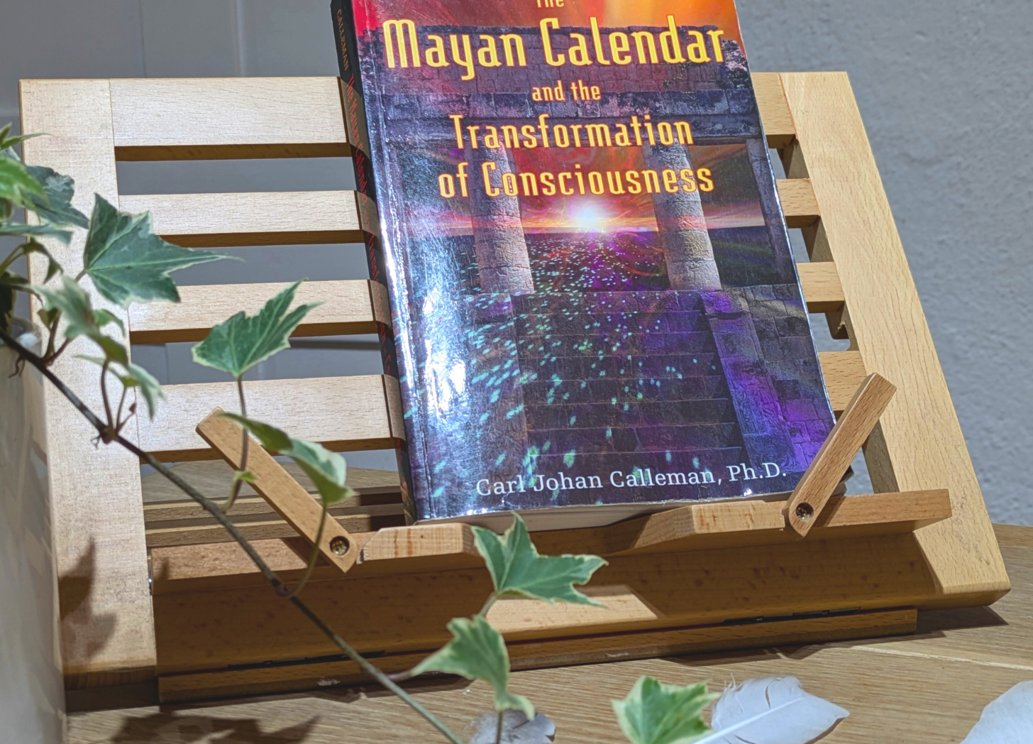 The Mayan Calendar by Carl Johan Calleman PhD