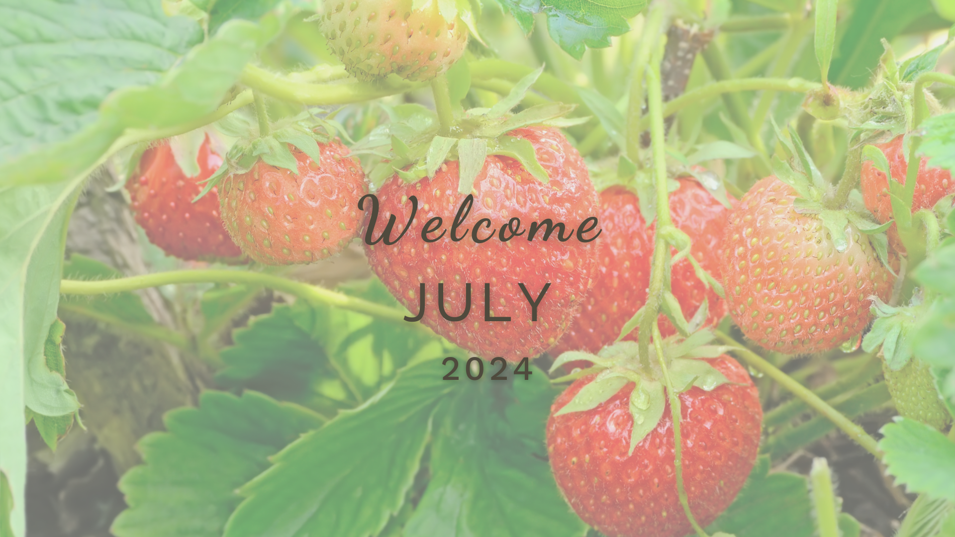 Welcome July (Almanac 2024)