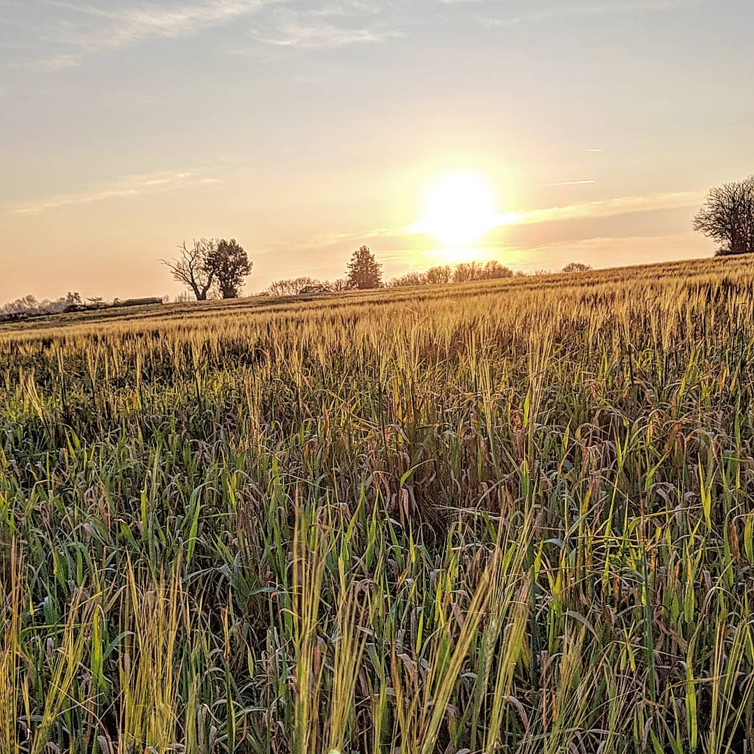 A poem about being a light being with transformational potential