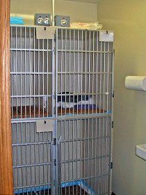 Vet Clinic & Hospital Tour | Community Animal Clinic | East Liverpool Ohio