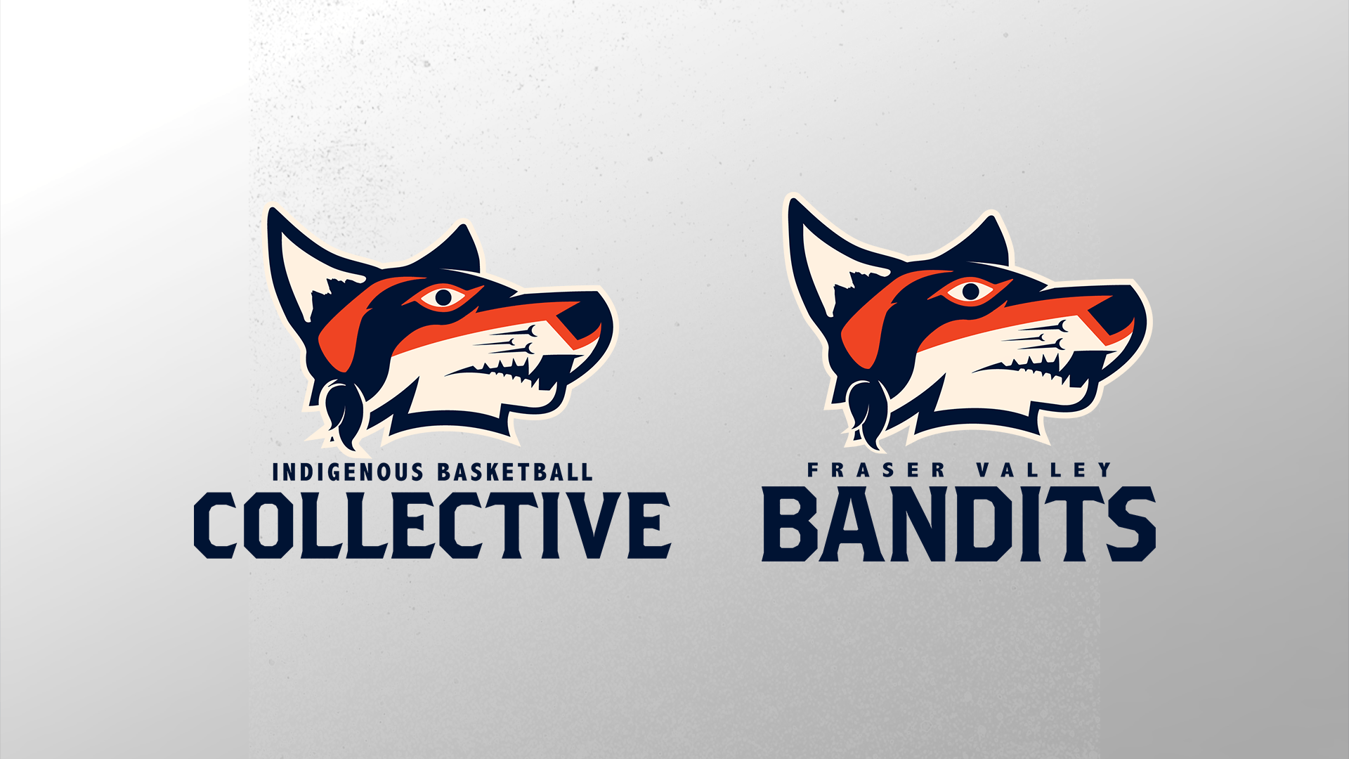 FRASER VALLEY BANDITS AND I∙SPARC REVEAL INDIGENOUS BASKETBALL ...