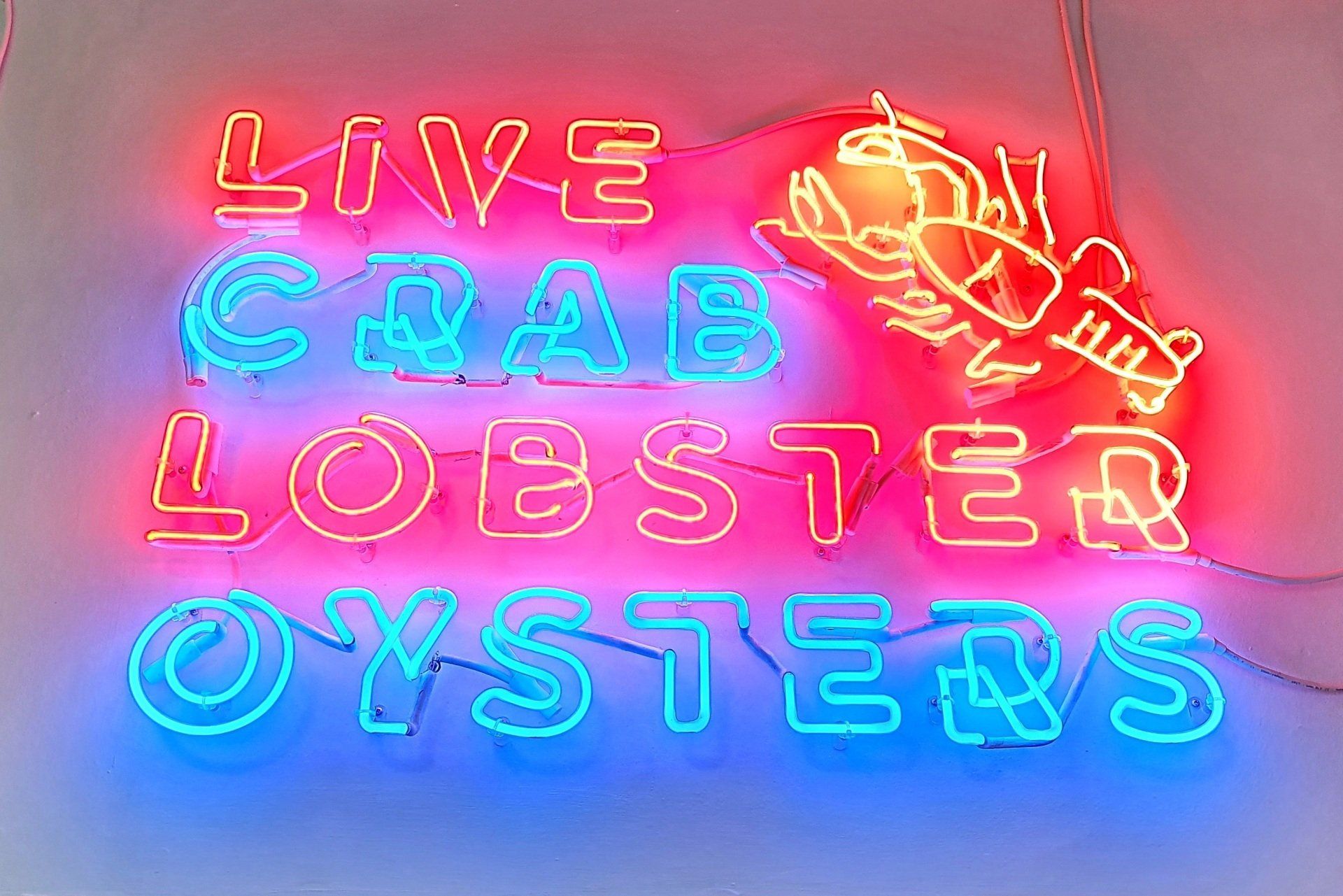 Sign Makers | New Era Signs & Graphics