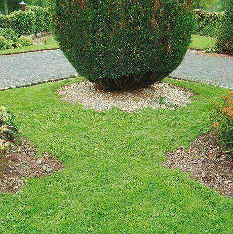 Flexible Steel Garden Edging & Tree Rings NZ | EverEdge
