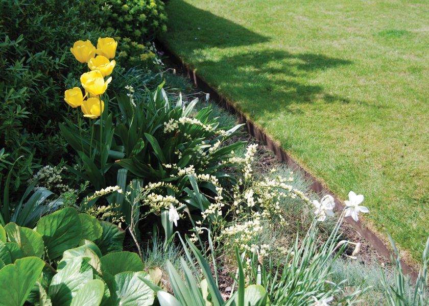 Pros & Pros of Steel Lawn Edging | EverEdge New Zealand