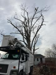 Our Gallery | Moorefield, West Virginia