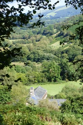 Home [www.wildlifecottagewales.co.uk]