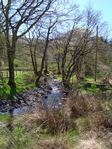 Home [www.wildlifecottagewales.co.uk]