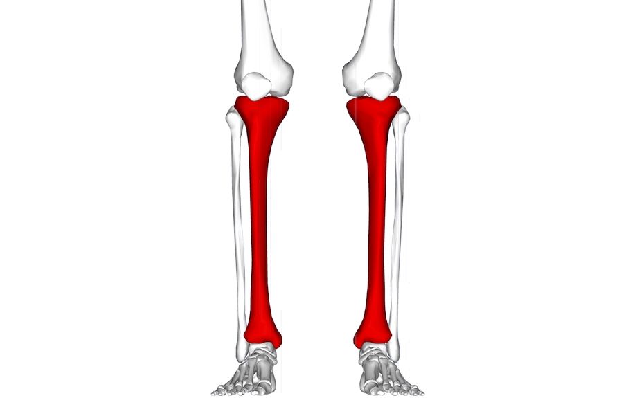Shin Splints & Compartment Syndrome