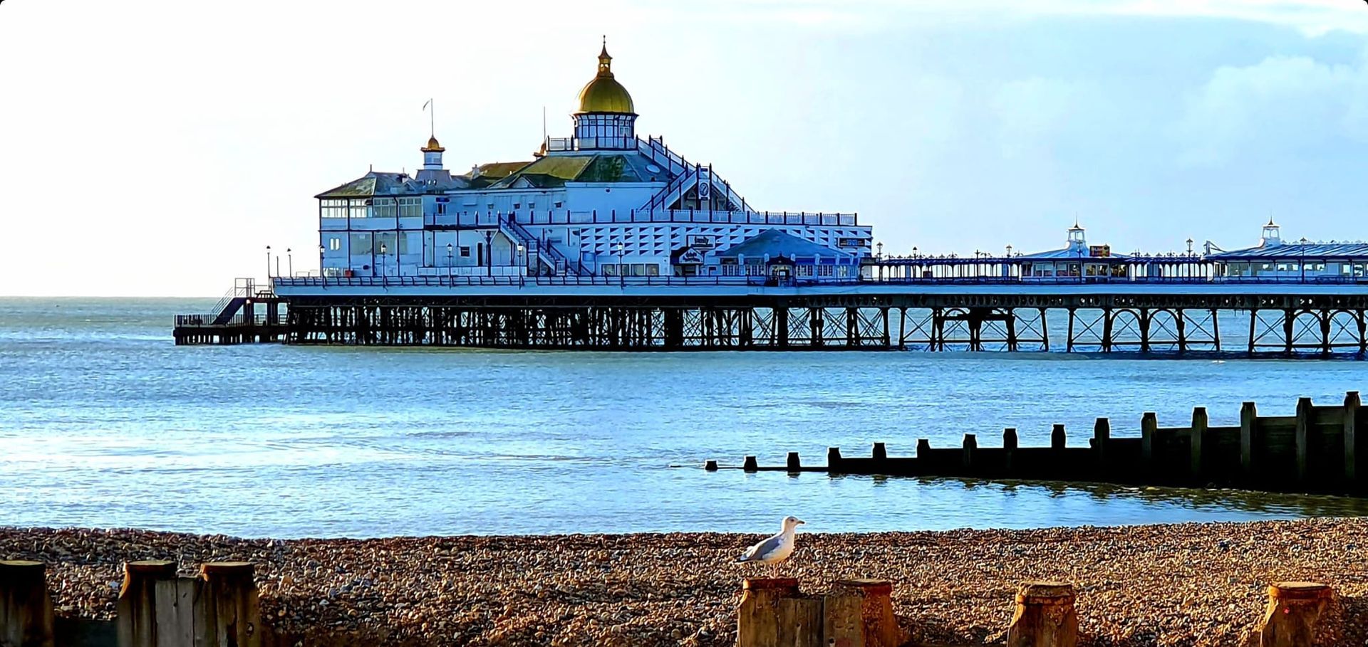 Eastbourne Property Rentals | Let’s Go Property