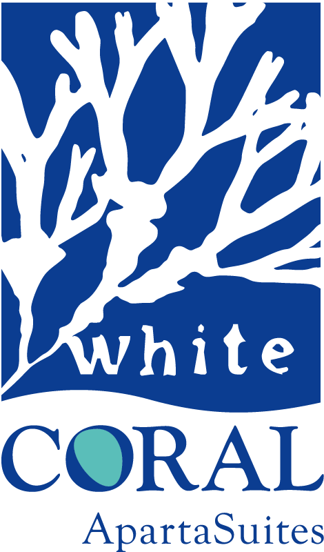 Dream Inn | Hollywood Beach Florida | Gallery