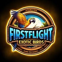 First Flight Exotic Birds About Us | Free Flight Exotic Bird Sanctuary